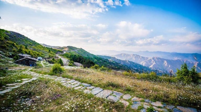 Chakrata Tour Package 2 Nights/3 Days |Tour in Chakrata | EWS Holidays